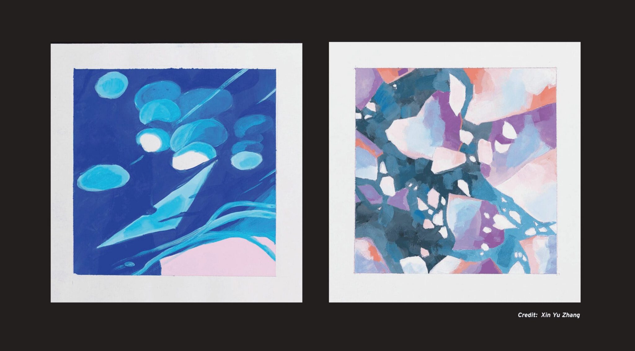 Curriculum - College for Creative Studies